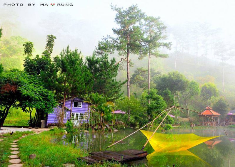 Ma Rừng Lữ Quán Đà Lạt - Hướng dẫn đường đi và giá vé 2021