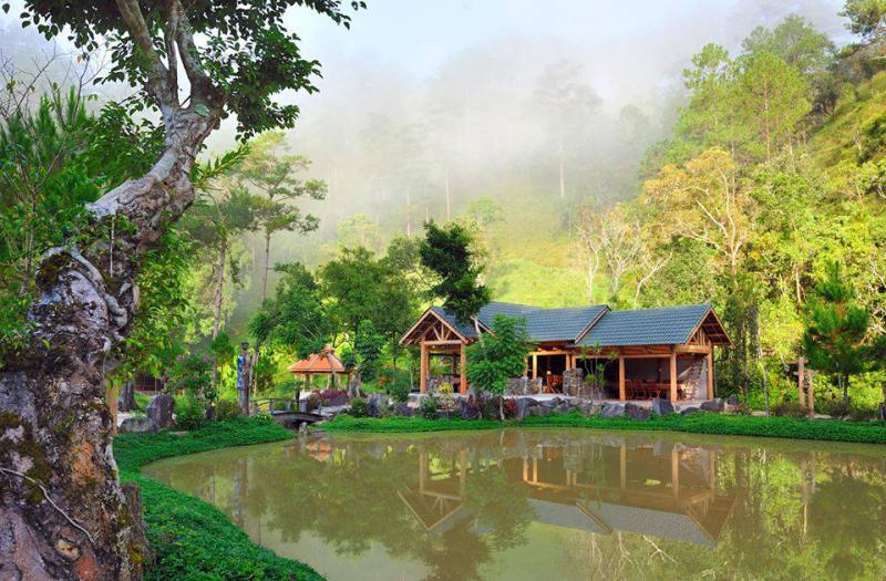 Ma Rừng Lữ Quán Đà Lạt - Hướng dẫn đường đi và giá vé 2021