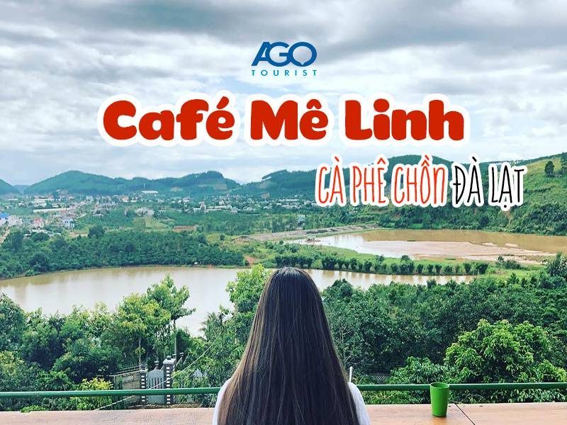 Review chi tiết quán cà phê chồn Mê Linh Đà Lạt
