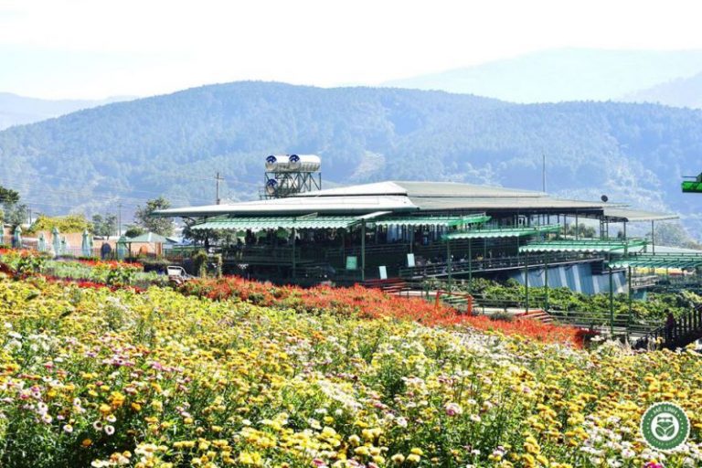 Review Mê Linh Coffee Garden Đà Lạt và cập nhật giá vé 2025