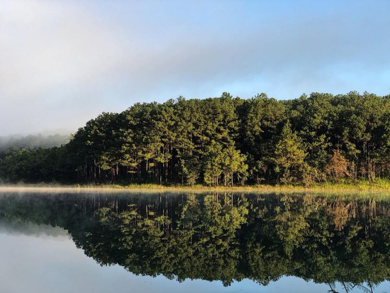 Review 35 homestay Đà Lạt dưới 300k lên hình siêu đẹp