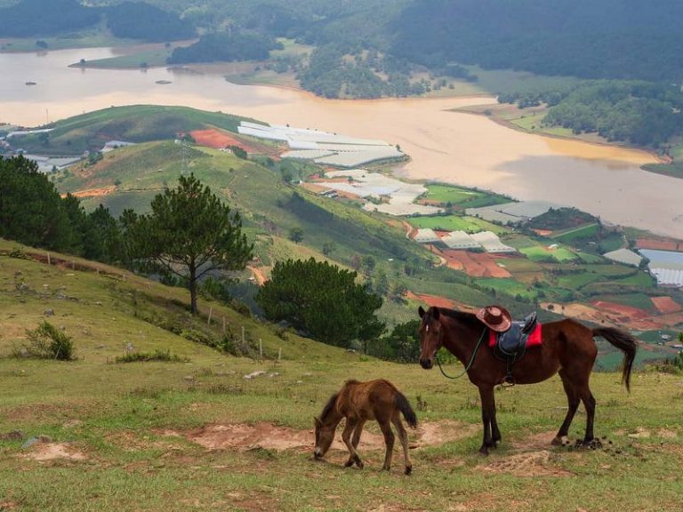 Khu du lịch núi Langbiang Đà Lạt - Cập nhật thông tin du lịch, giá vé 2021