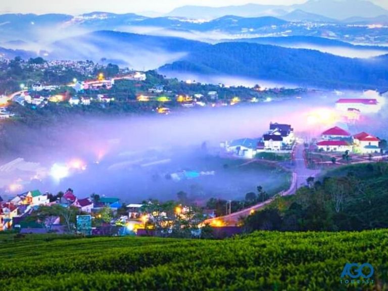 30 Căn Homestay Đà Lạt view bao đẹp có giá rẻ và gần trung tâm