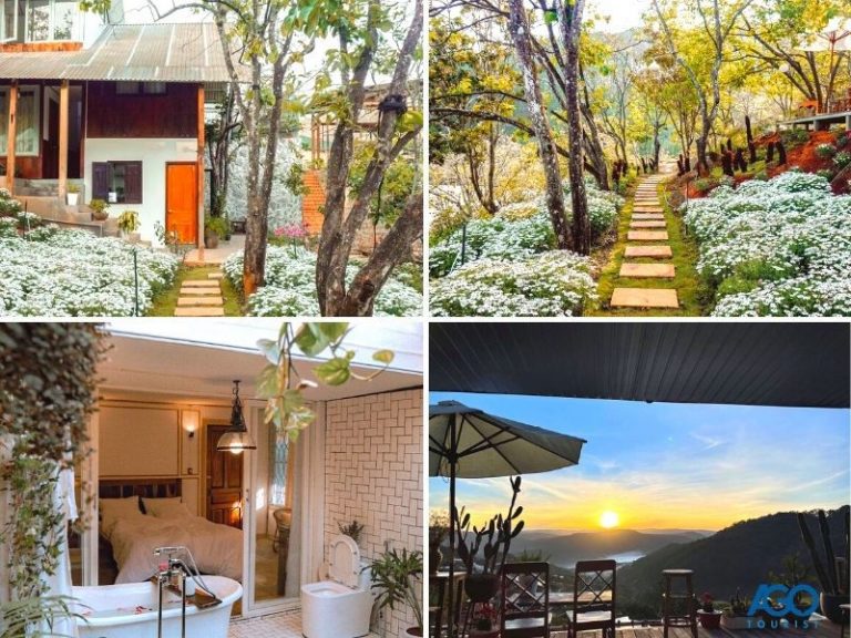 30 Căn Homestay Đà Lạt view bao đẹp có giá rẻ và gần trung tâm