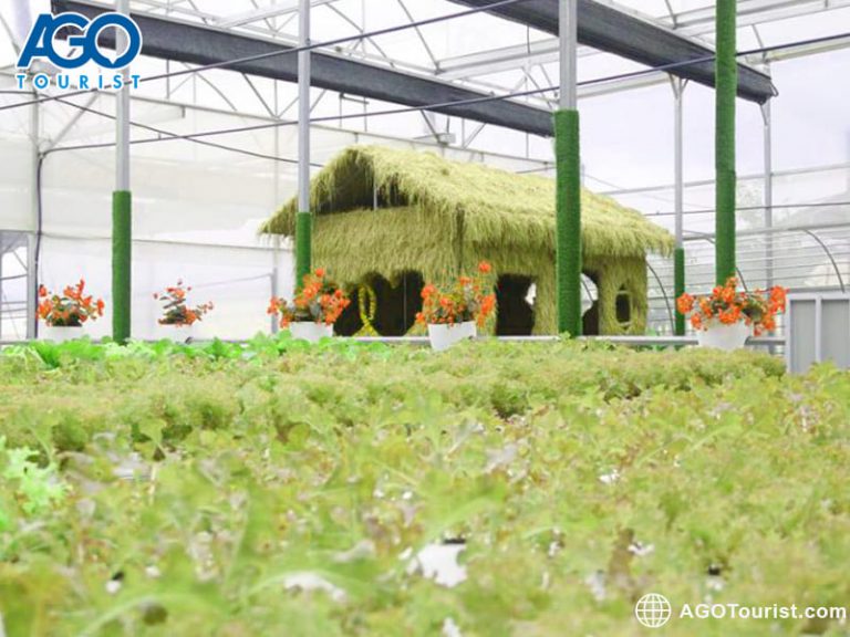 Những điều thú vị tại Fresh Garden Đà Lạt và giá vé tham quan 2023