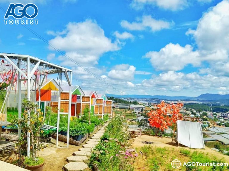 Sunny Farm Đà Lạt - Địa điểm check in nấc thang lên thiên đường