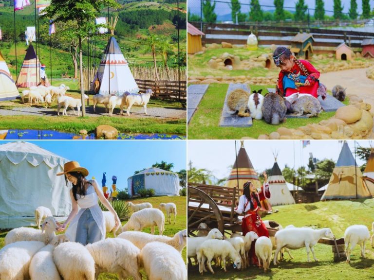 Khám phá Mongo Land Đà Lạt - Giá vé tham quan 2025