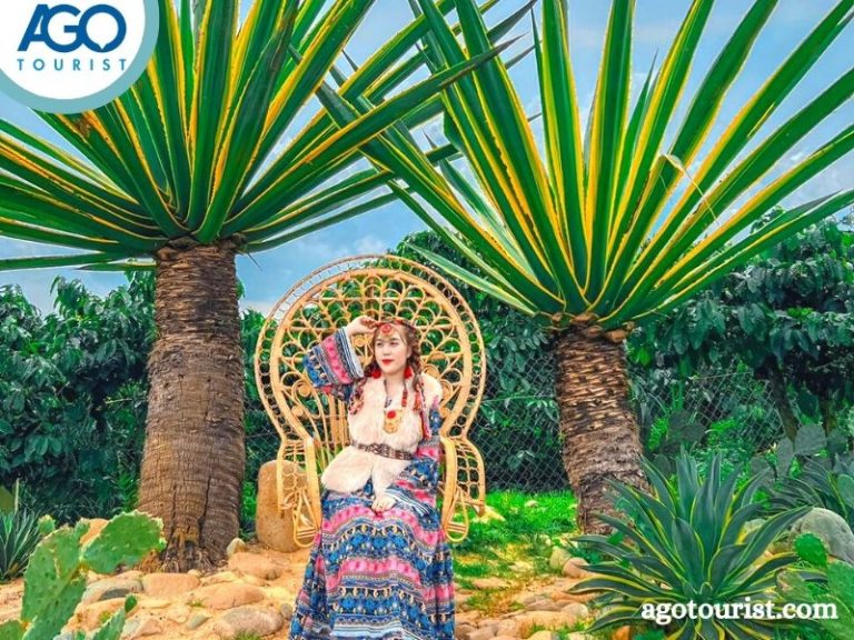 Khám phá Mongo Land Đà Lạt - Giá vé tham quan 2025