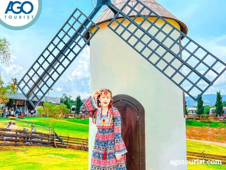 Review Mongo Land Dalat - Hướng dẫn đường đi và giá vé tham quan