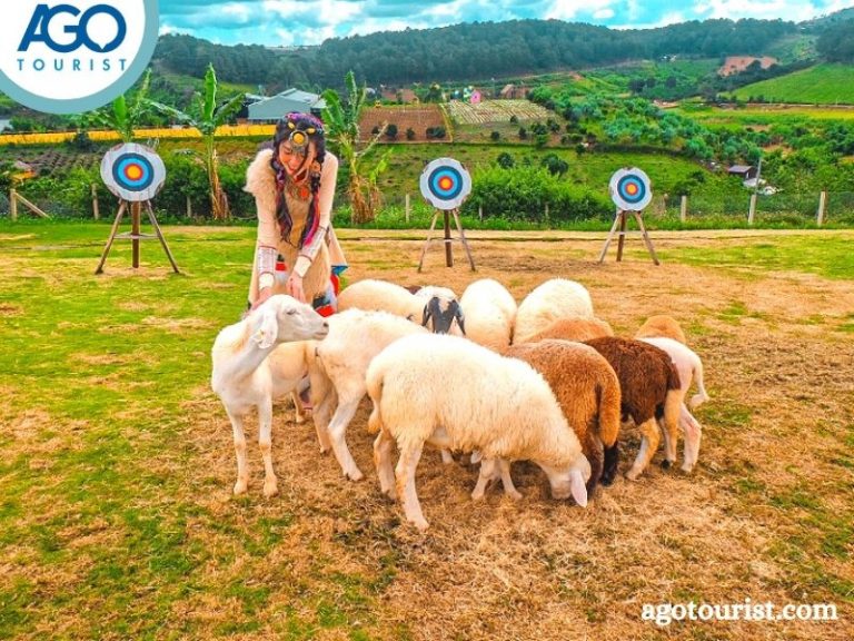 Review Mongo Land Dalat - Hướng dẫn đường đi và giá vé tham quan