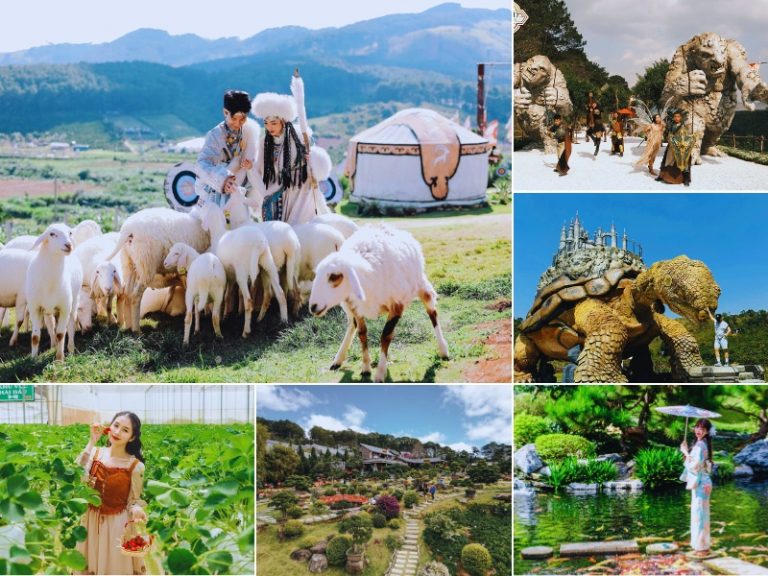 Khám phá Mongo Land Đà Lạt - Giá vé tham quan 2025