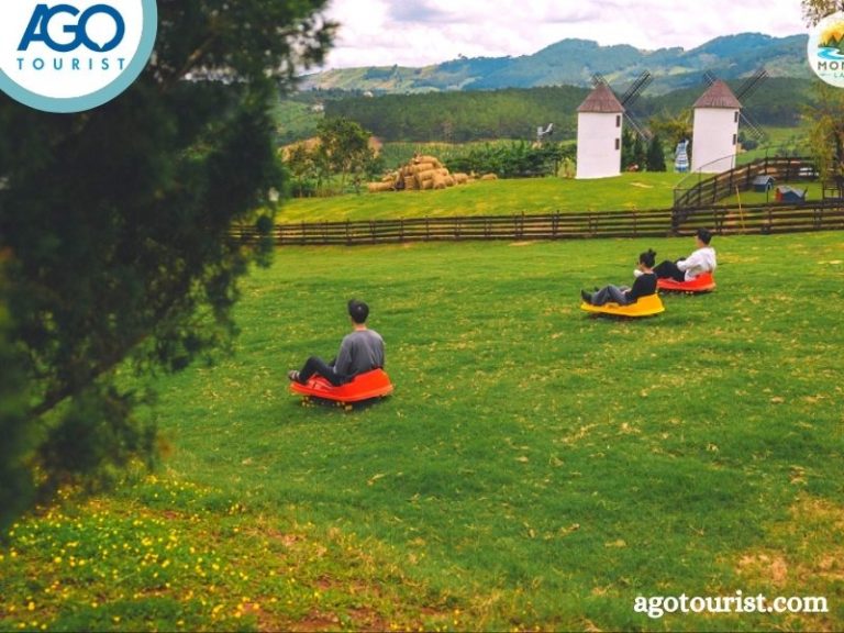 Review Mongo Land Dalat - Hướng dẫn đường đi và giá vé tham quan