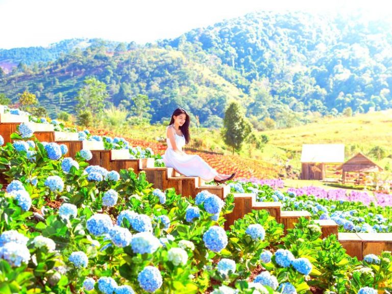 Review The Florest - Hoa Trong Rừng Đà Lạt và hướng dẫn đường đi