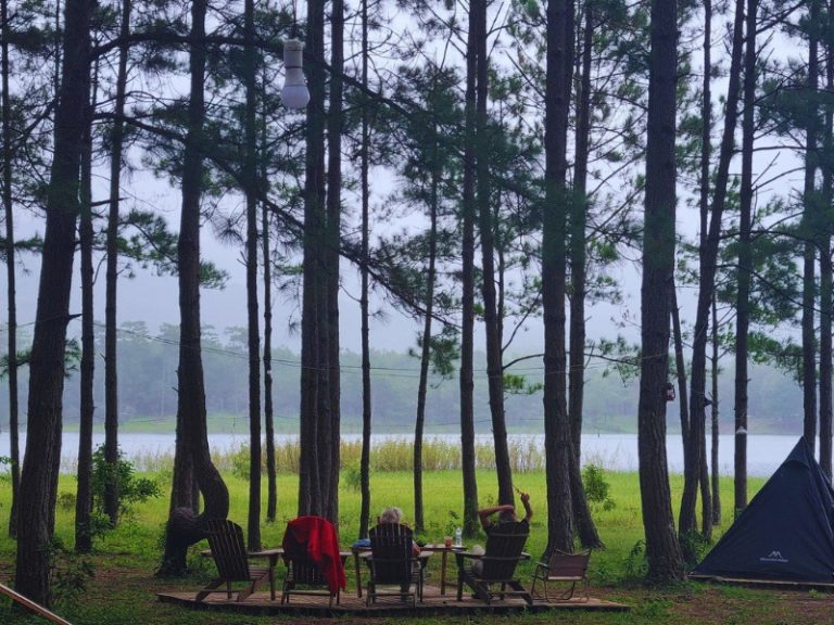 #10 địa điểm glamping Đà Lạt có view đẹp nhất mùa này