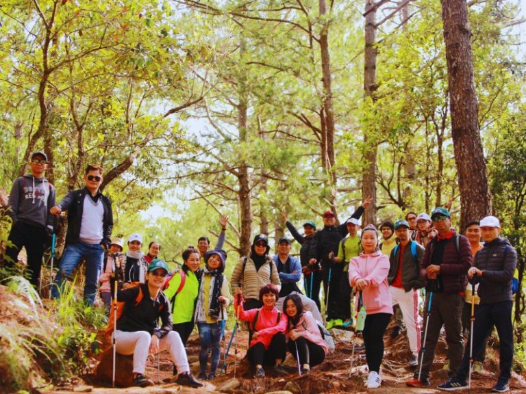 Top 3 chương trình Tour Trekking Đà Lạt hấp dẫn nhất 2024