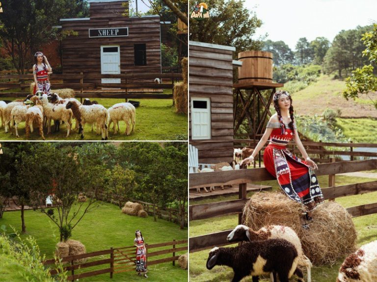 Những điều thú vị tại Dapa Hill Đà Lạt - Giá vé tham quan 2025