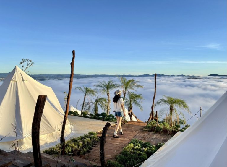 Tour glamping sang chảnh săn mây Đà Lạt 2 ngày 1 đêm